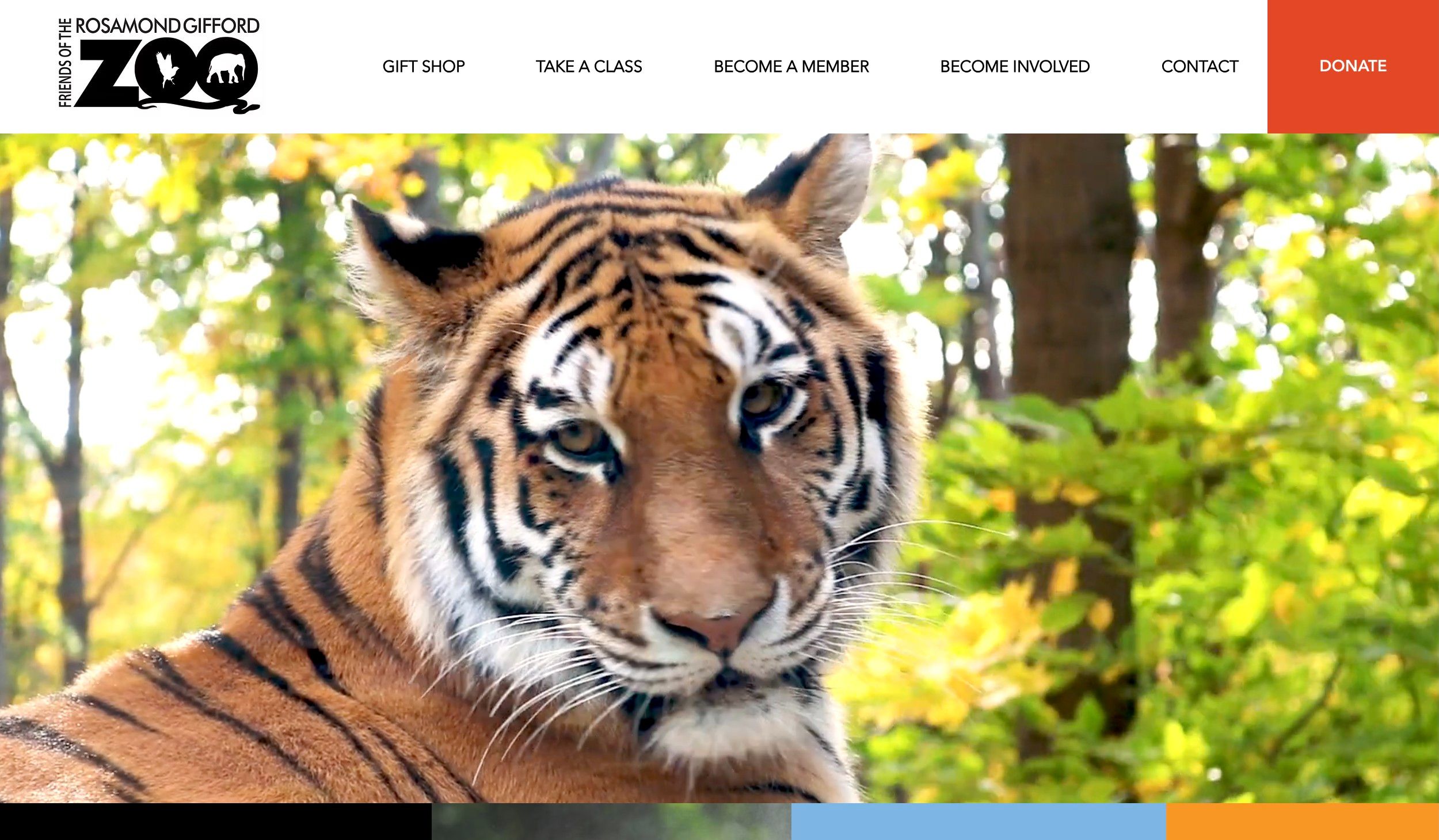 21 Best Zoo Website Design Examples of 2025